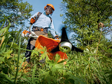 STIHL-Lideres en ventas de motosierras en México